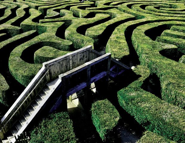 Regulatory complexity, simplified | EMEA analysis | Captive International